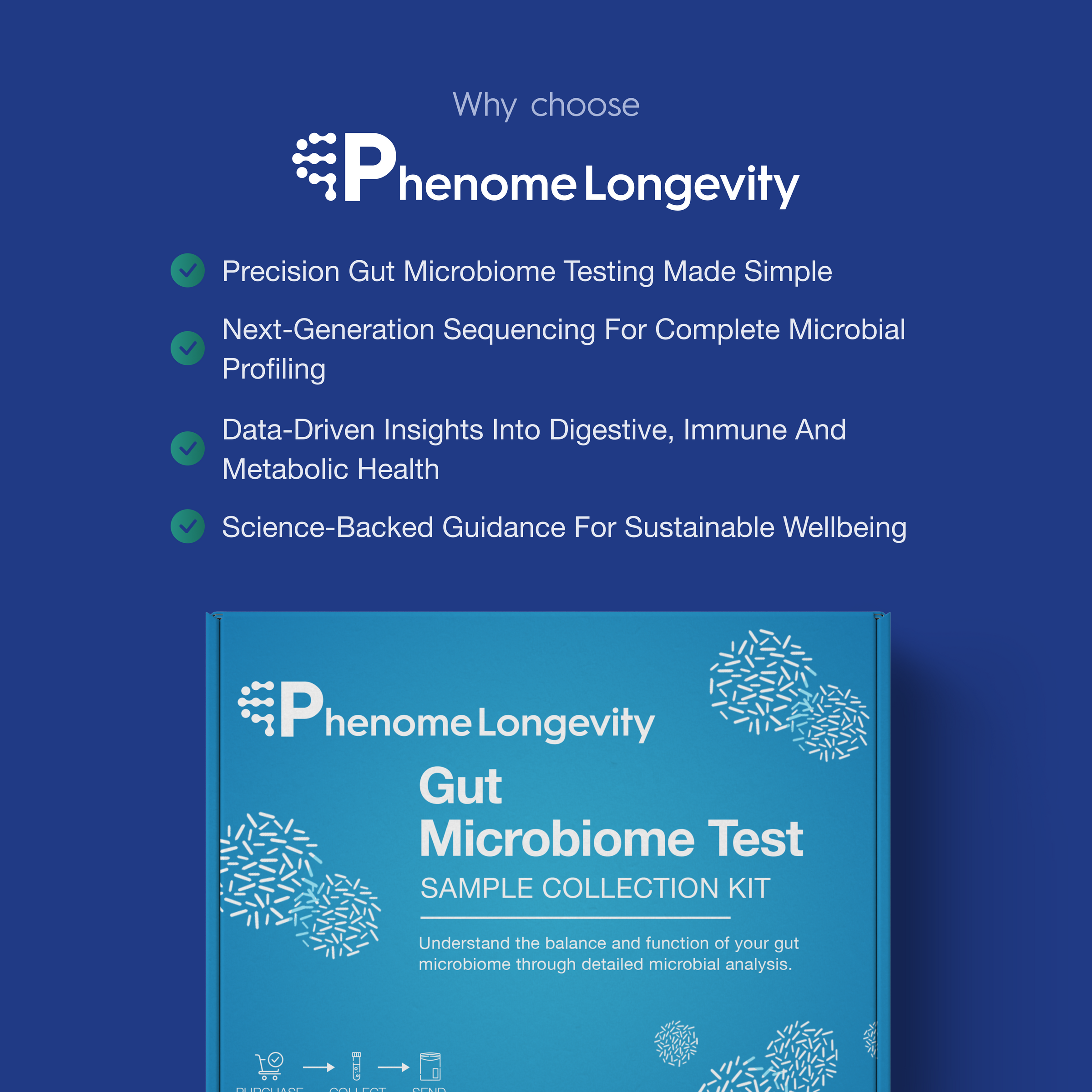 Gut Microbiome Test – Phenome Longevity